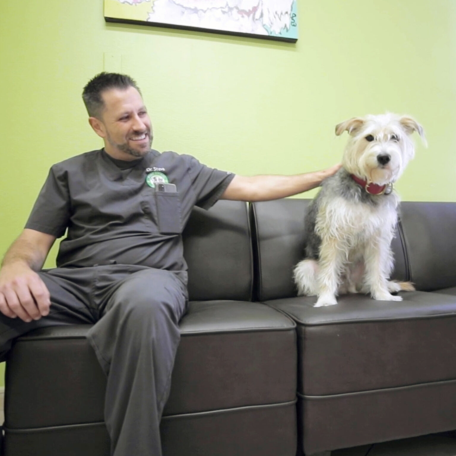 Pine Animal Hospital: Our Mission & Values Explained.